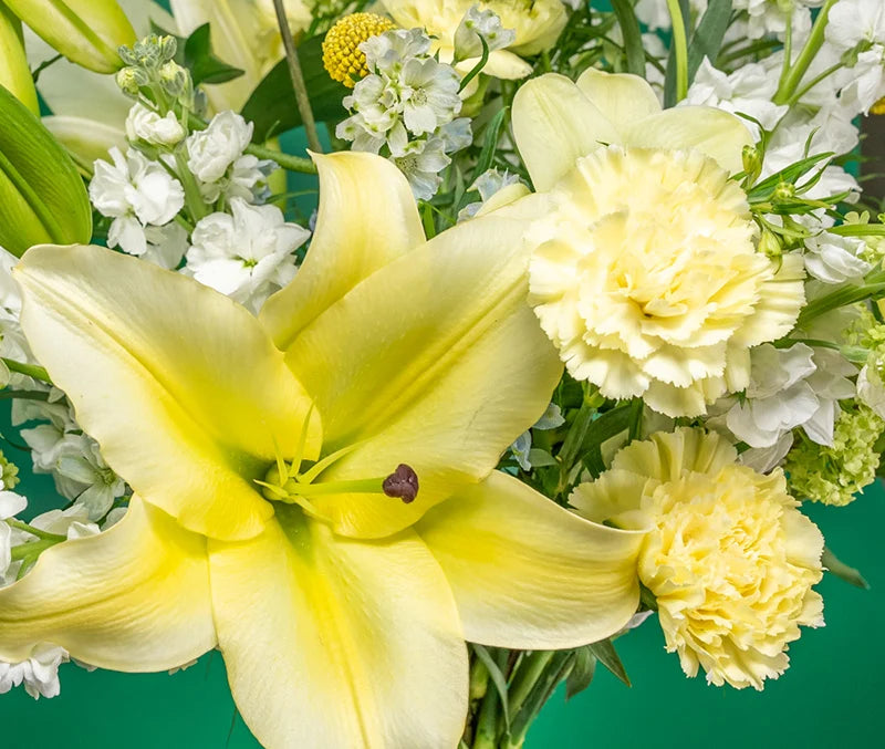 Apology Flowers | Send Flowers To Say Sorry | Flower Actually